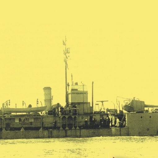 Royal Navy Monitors – Historic Warships